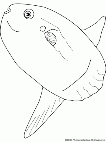 ocean-sunfish | Audio Stories for Kids | Free Coloring Pages ...