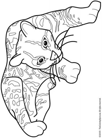 Ocelot Coloring Page | Audio Stories for Kids | Free Coloring Pages ...