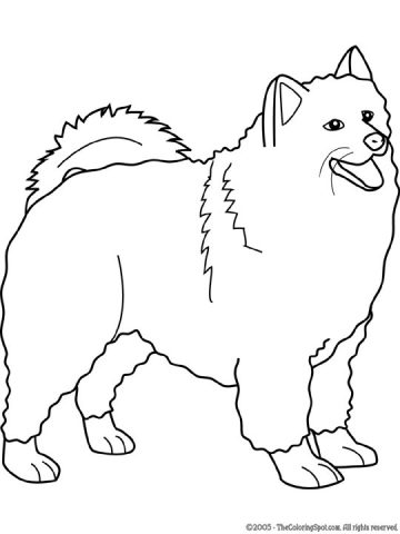 Samoyed Coloring Page | Audio Stories for Kids | Free Coloring Pages ...
